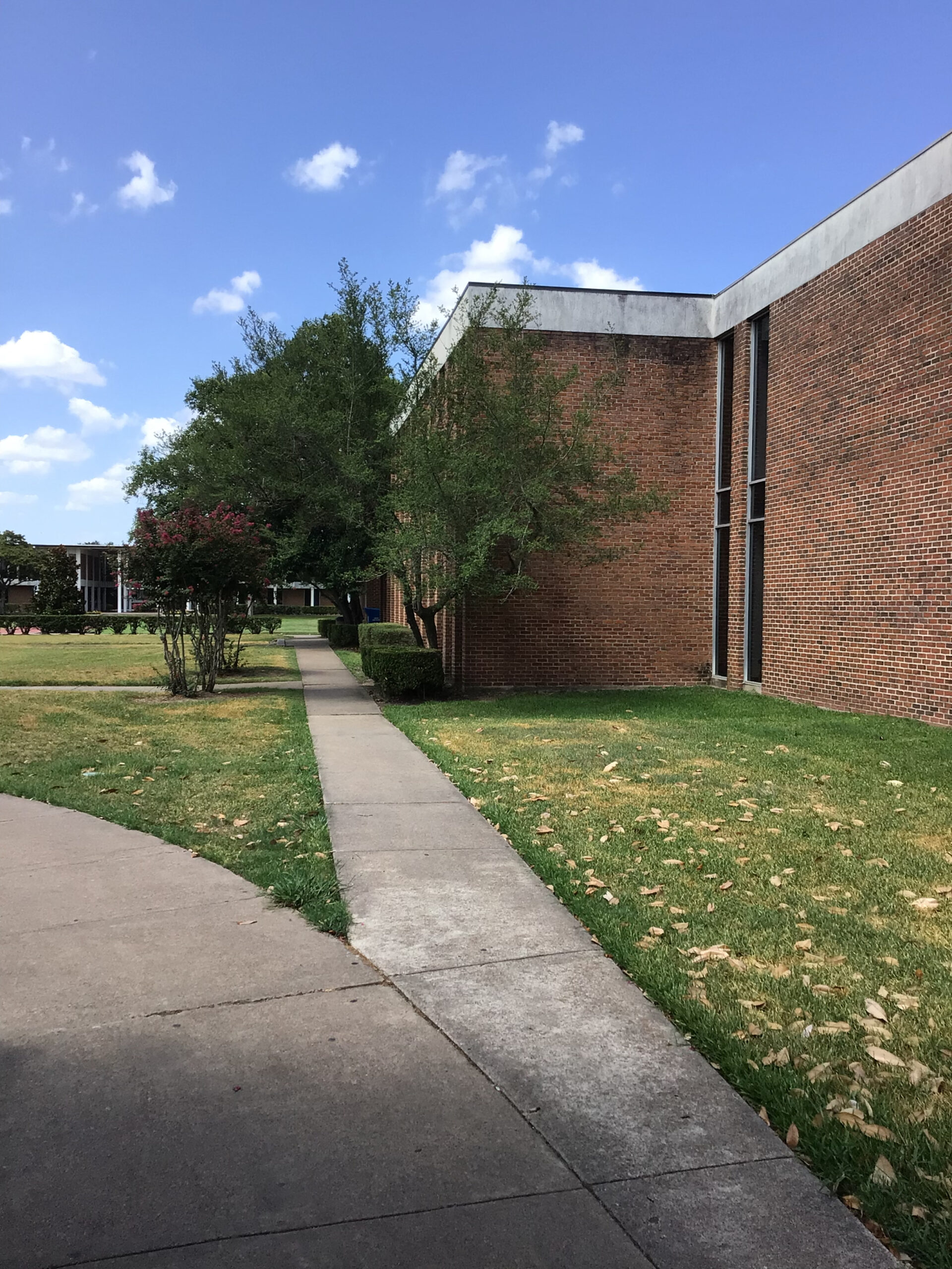 HCU Moody Library Renovation - Rivers Barden Architects