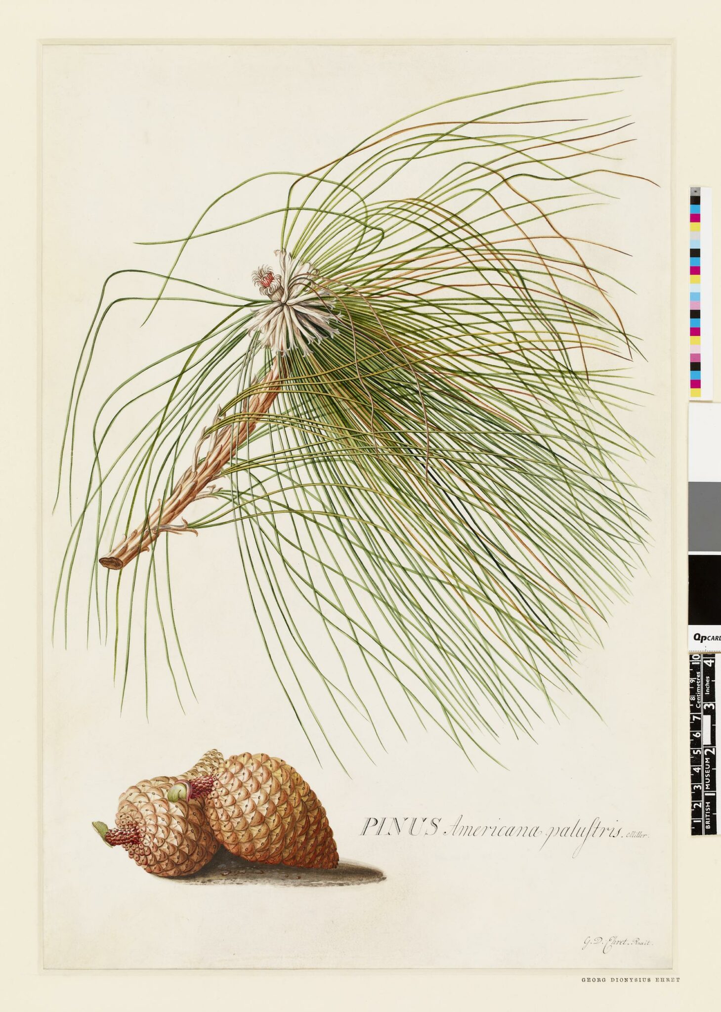 The Tree Farm Golf Club - Rivers Barden Architects