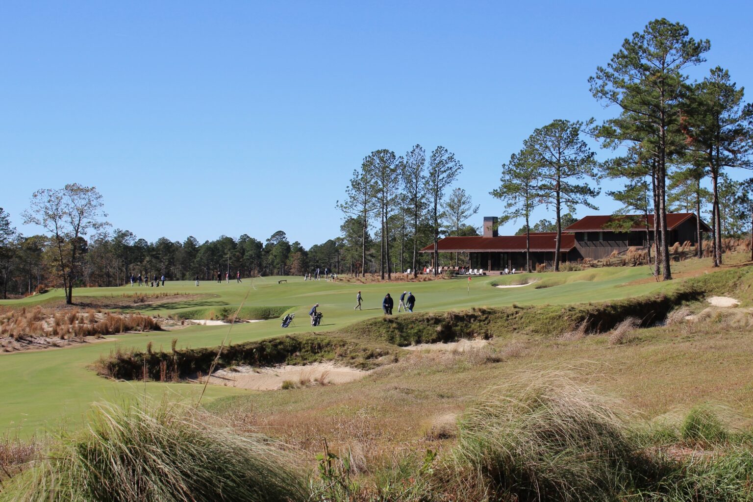 The Tree Farm Golf Club - Rivers Barden Architects