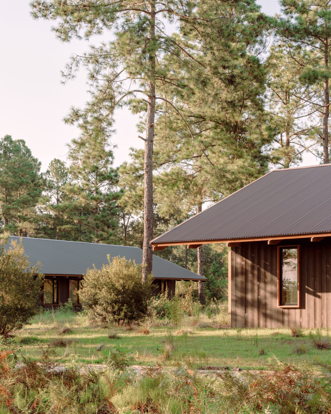 The Tree Farm Cabins - Rivers Barden Architects